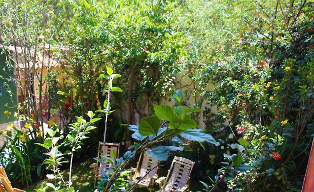 ᐉ INKA'S GARDEN HOTEL ⋆⋆ ( OLLANTAYTAMBO, PERU ) REAL PHOTOS & GREAT DEALS